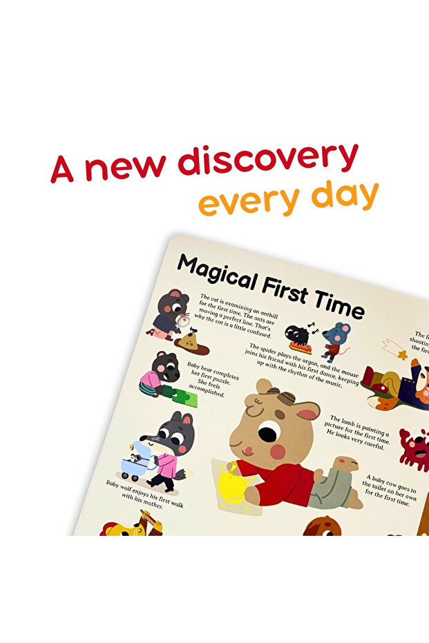 Sincap Kitap My Book of General Knowledge - I Know (Genel Kültür ...