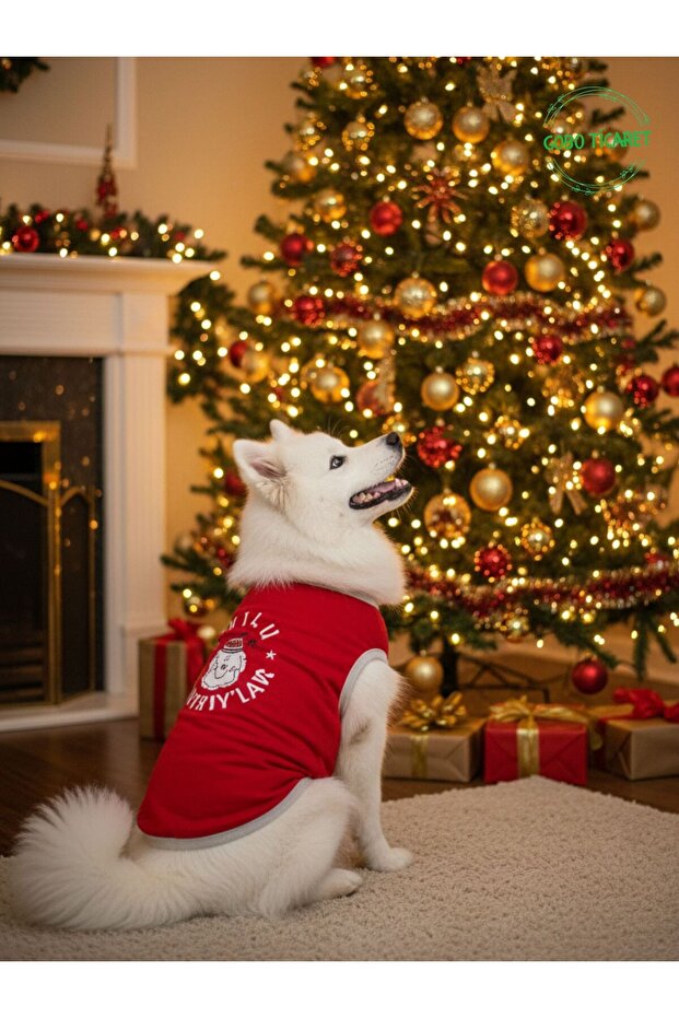Gobo MUTLU HAV HAV'LAR Yılbaşı Temalı Kedi ve Köpek Kıyafeti Elbisesi ...