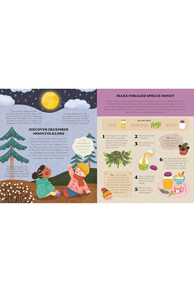 FRANCES LINCOLN A Christmas Treasury of Recipes, Crafts, and Wisdom ...