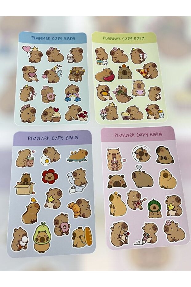 EyER Shoping Capy Bara Etiket Seti - Fiyatı, Yorumları