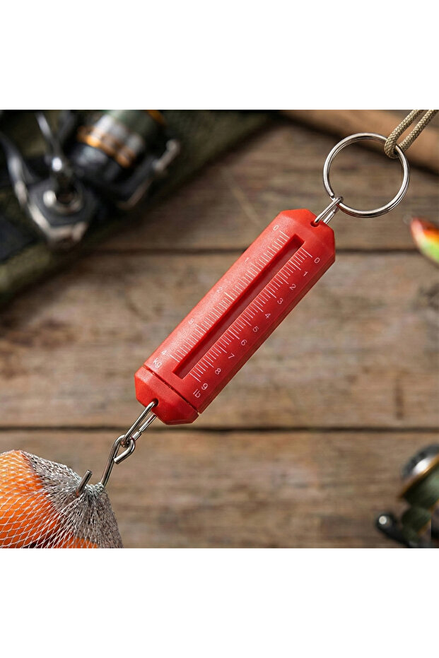 Boldy Analog Hand Scale - Fish Scale - Measuring Scale - Mechanical ...