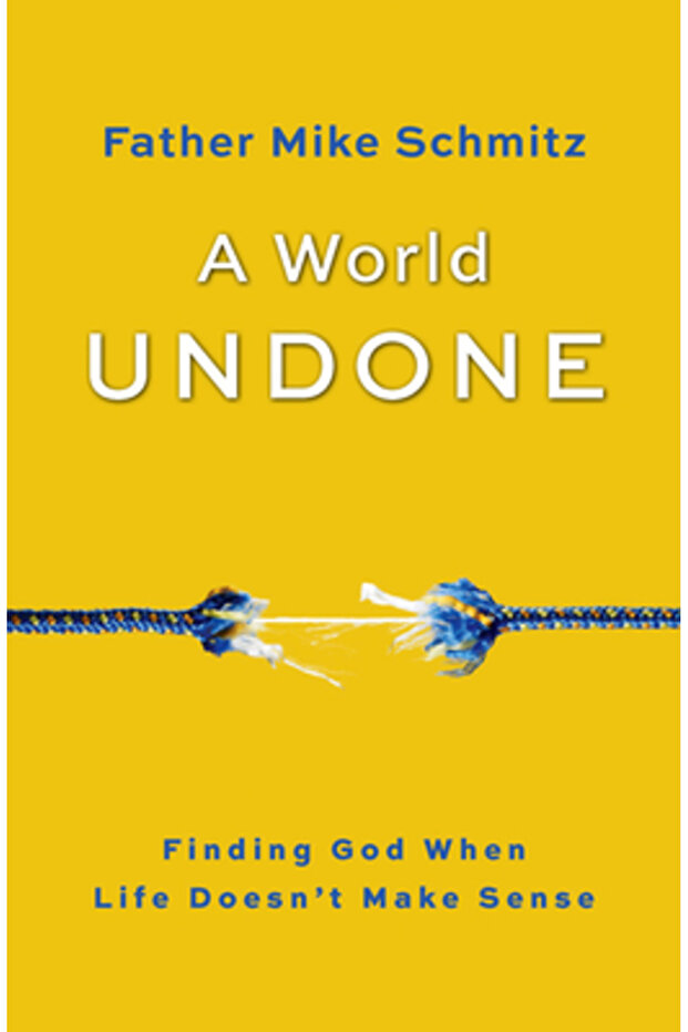 Word Among Us Inc A World Undone: Finding God When Life Doesn't Make ...