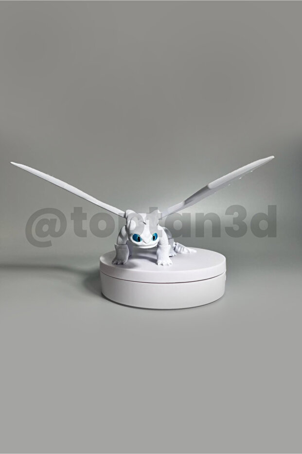 Toptan3D (İkili Paket) (Mega Boy) Ejderhanı nasıl Eğitirsin? Gecenin ...