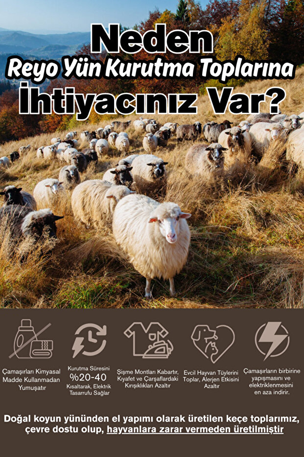 Reyo %100 Saf Yün Kurutma Makinesi Topu 3'lü Set, L Boy Kahverengi ...