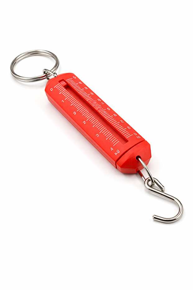 Boldy Analog Hand Scale - Fish Scale - Measuring Scale - Mechanical ...