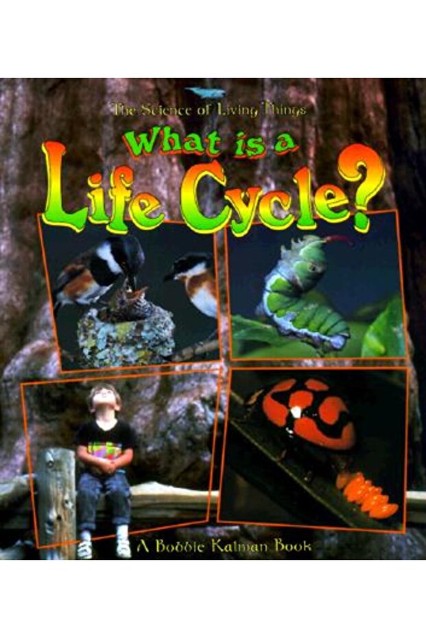 Crabtree Publishing Company What Is a Life Cycle?- Trendyol