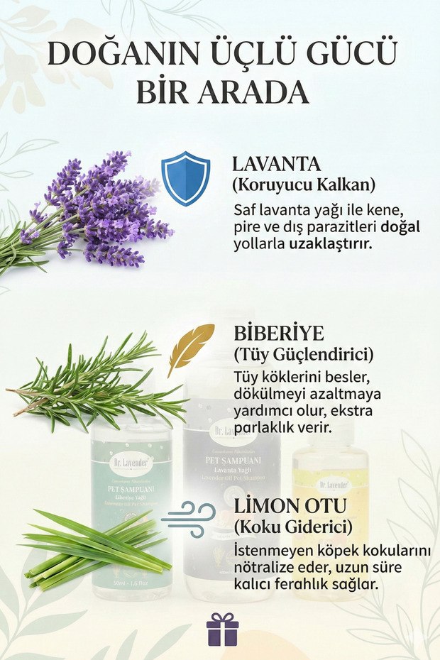 Dr.Lavender Doğal Kalkan Kene Pire Karşıtı Lavanta Köpek Şampuanı 400ml ...