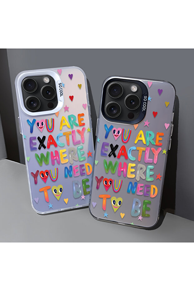 ucuc iPhone 16e Uyumlu Mat Parlak Yüzey Darbe Koruma Renkli Gümüş ...