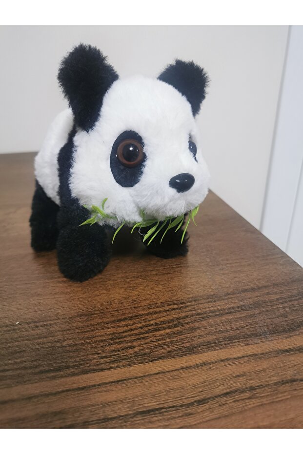 BALKİZ Sevimli Panda, Pilli, Hareketli, Sesli sevimli Panda, ağzında ...