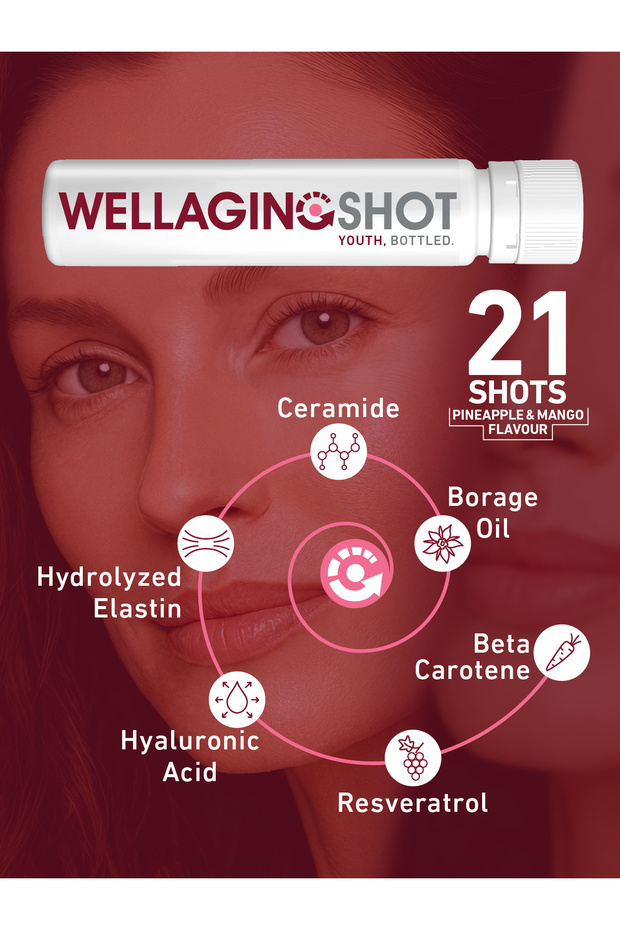 DAILYSHOT Well Aging Hidrolize Kollajen, Seramid, L-Karnosin, Hidrolize ...