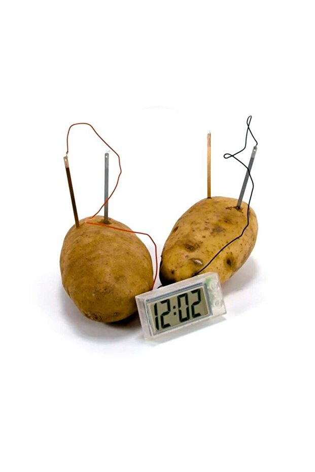 TeTea Educational Toy Tetea, STEM experiment kit, fruit battery for ...