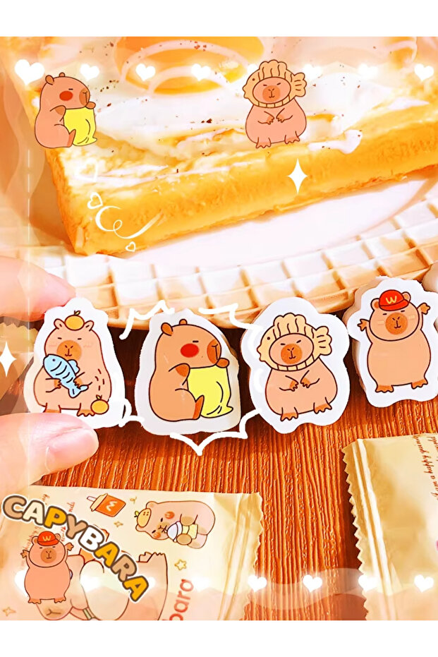 ÖZ OFİS Capybara Kapibara Kawaii Sürpriz 3D Silgi - Sürpriz Paketli ...
