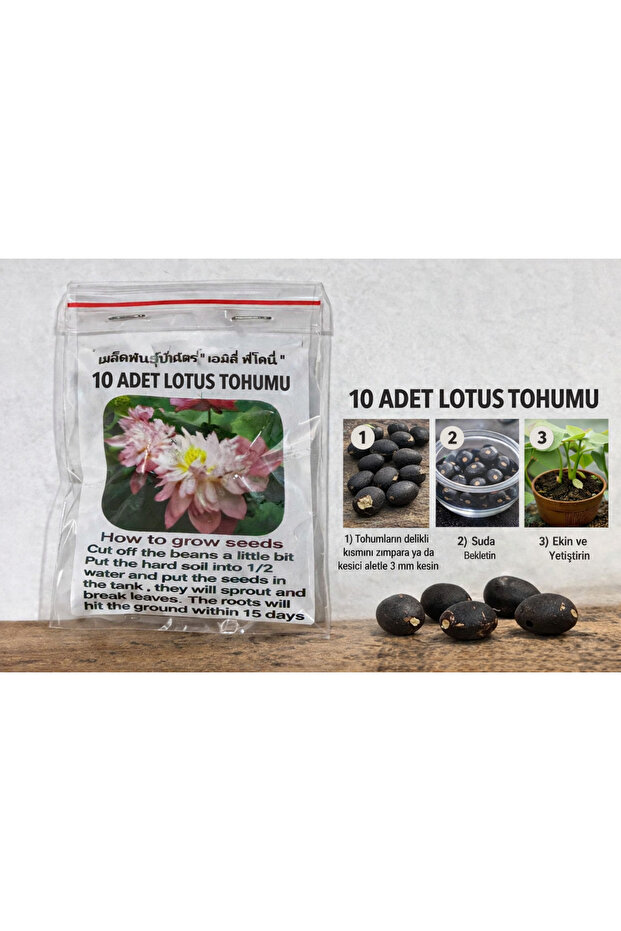 FLORICA Lotus Çiçeği Tohumu 10 Adet – Nilüfer Çiçeği Tohumu Nadir ...