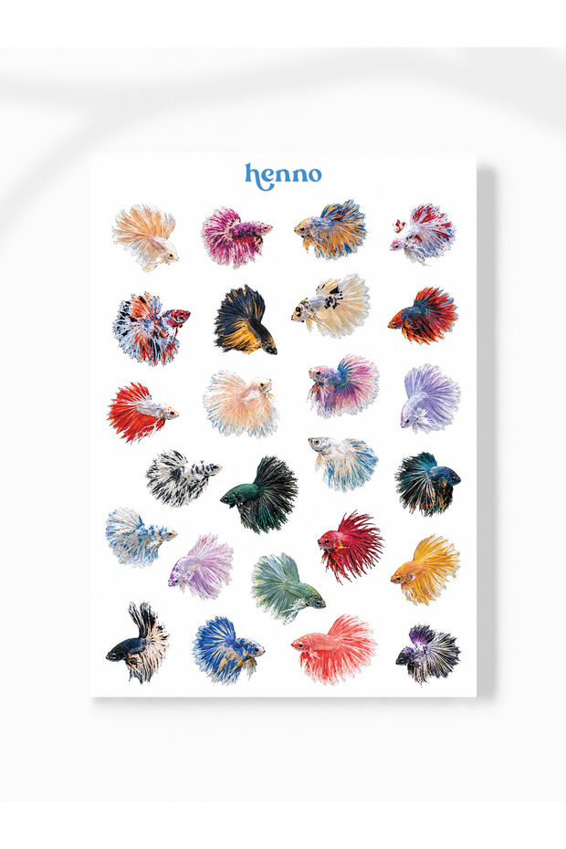Henno Beta Balığı Temalı 4'lü Sticker Seti (A6 10,5x14,8 cm) | Ajanda ...