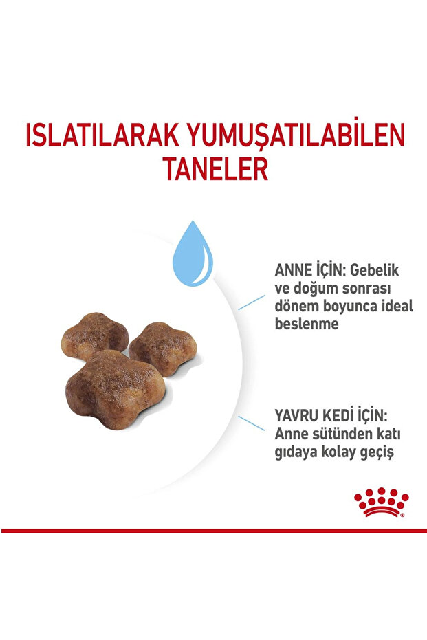 Royal Canin Mother & Baby Cat 34 Anne ve Yavru Kedi Maması 2 kg ...