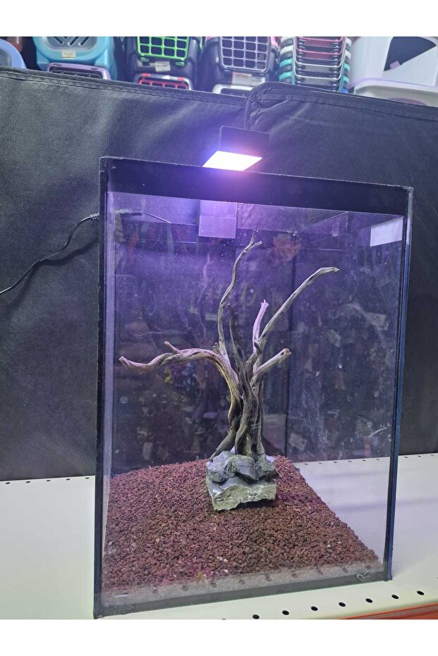 Aqua YENİ NESİL BETTA HOUSE AKVARYUM ASKI LED LAMBALI 16x15x25 cm ...