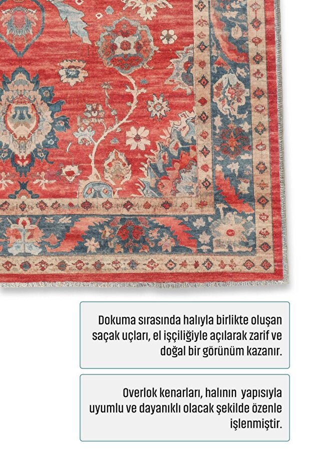 FULY CONSEPT Vintage Çiçek Desenli Kaymaz Taban Halı Kırmızı Mavi Salon ...