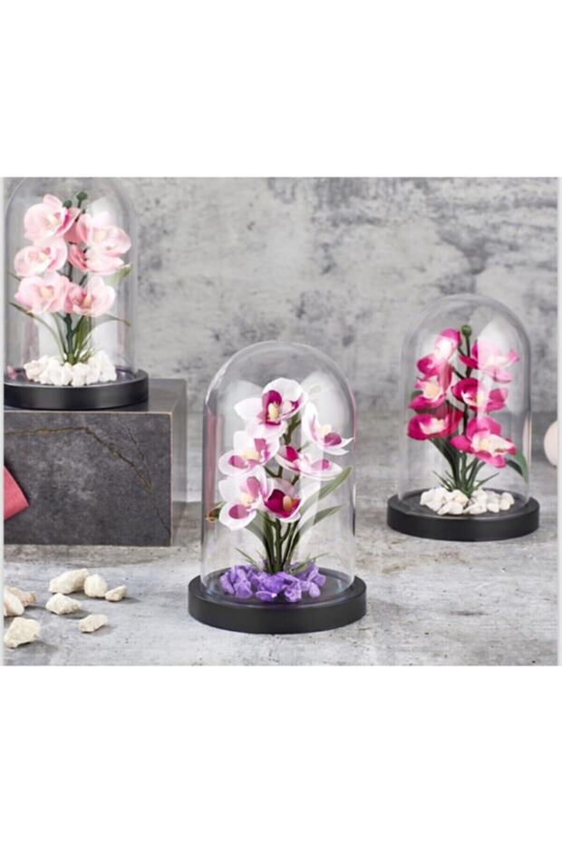 Eva Dekor Cam Görünümlü Fanus Içinde Yapay Çiçek Pembe Orkide Teraryum ...