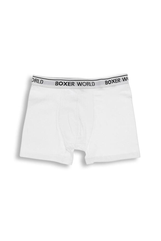 Orbis 3'lü Erkek Likralı Boxer 14100-b3 - Fiyatı, Yorumları