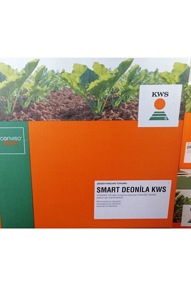 KWS Smart Deonila Pancar Tohumu - Fiyatı, Yorumları
