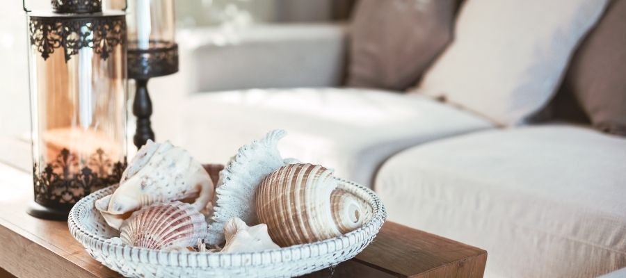 Deniz Kabuğu Ile Neler Yapılır? - Trendyol Blog Deniz Kabuğu Ile Neler Yapılır? - Trendyol Blog