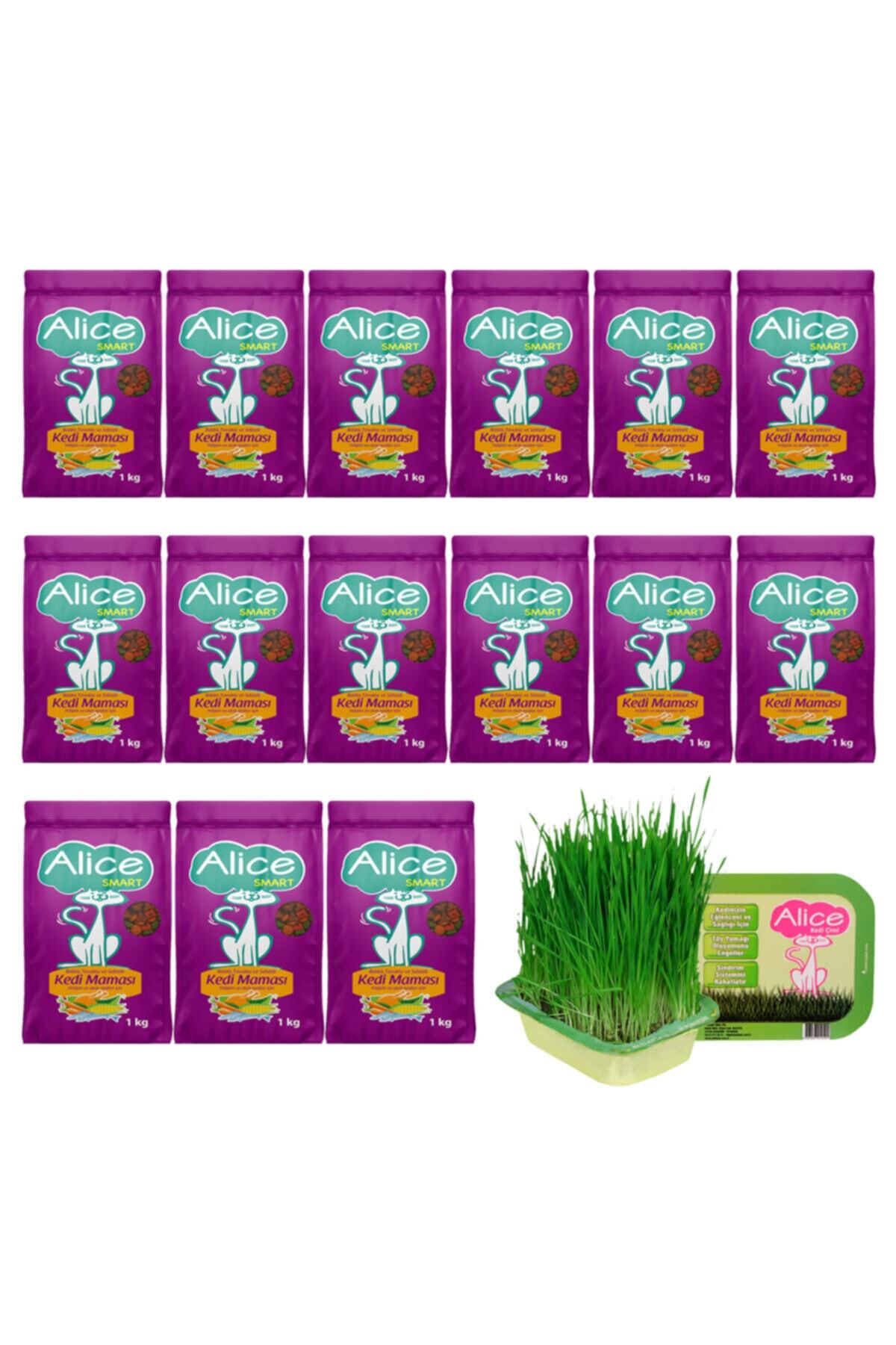 Alice Smart Yetişkin Kedi Maması 15x1kg + Çim Hediyeli Fiyatı ...