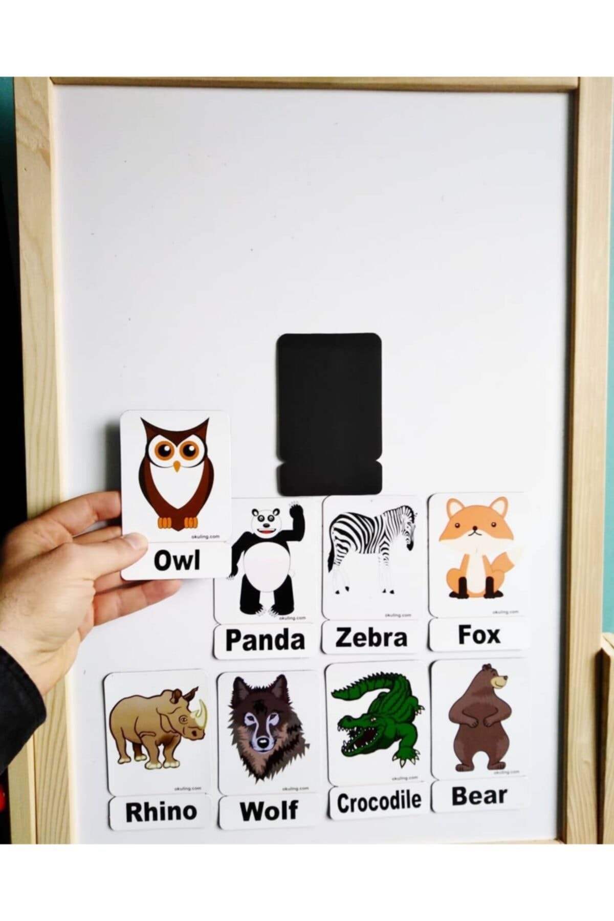 Okuling Manyetik Ingilizce Kelime Kartları Flashcards -hayvanlar ...
