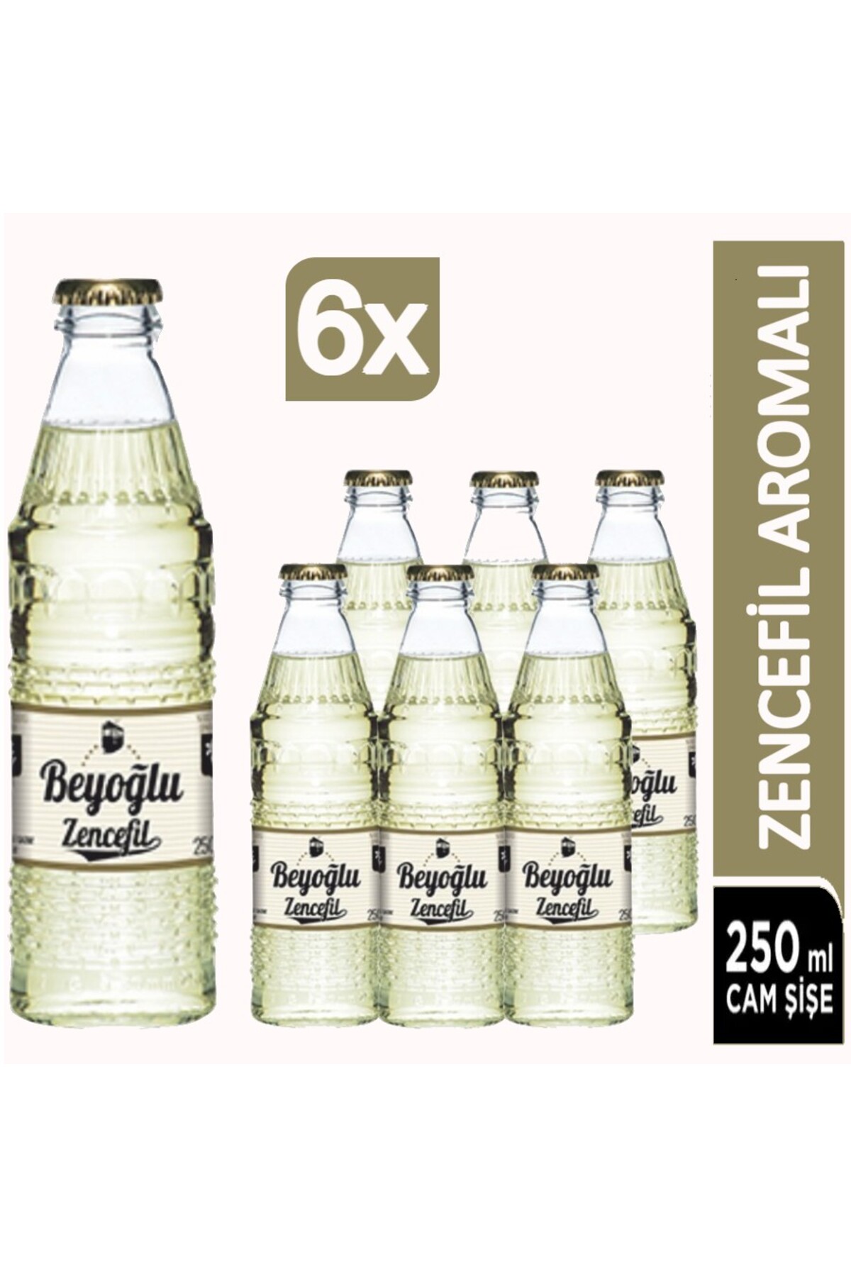 Beyoğlu Zencefilli Gazoz 6x250 ML Fiyatı, Yorumları - Trendyol