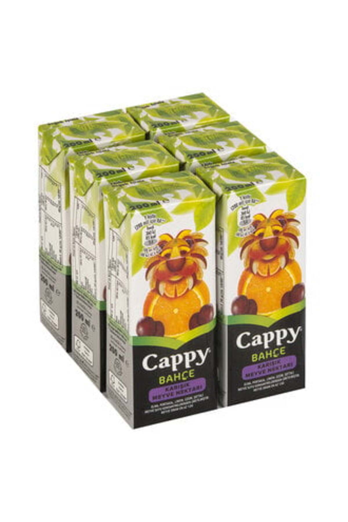 Cappy Karışık 6x200 ml ( 1 ADET )Fiyatı, Yorumları - Trendyol