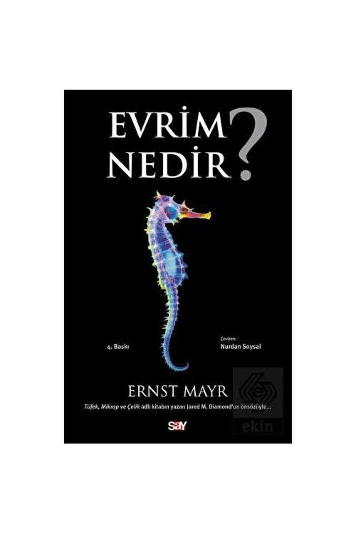 Say Yayınları Evrim Nedir? Fiyatı, Yorumları - Trendyol