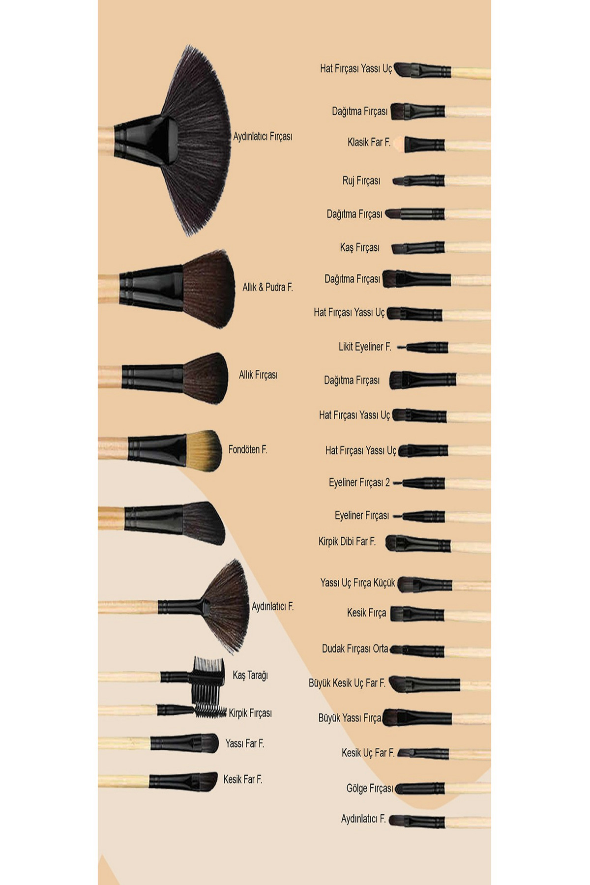 Types Of Makeup Brushes Chart | Saubhaya Makeup