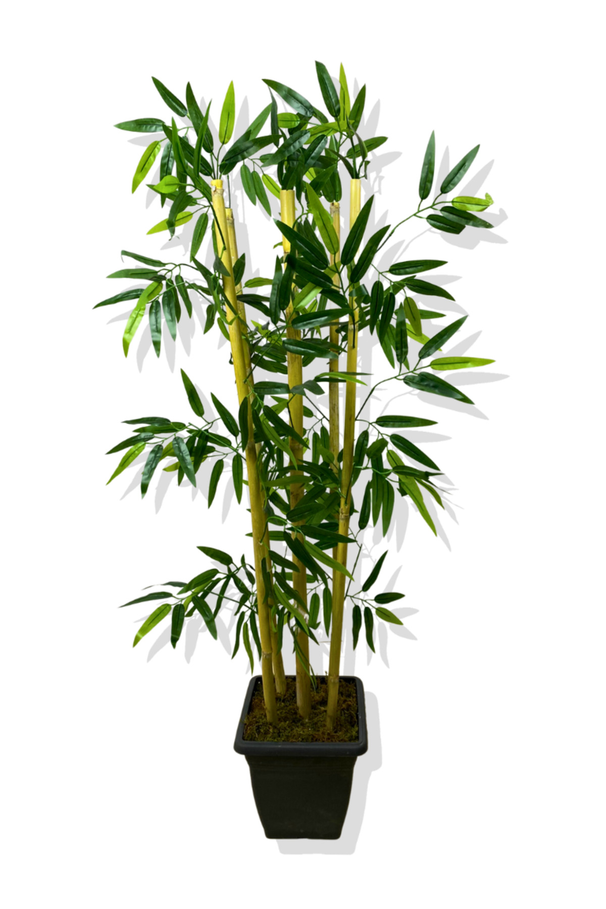 Cihan Çiçek Yapay Bambu Ağaç 110 Cm 5 Bambulu Siyah Saksı - Fiyatı ...