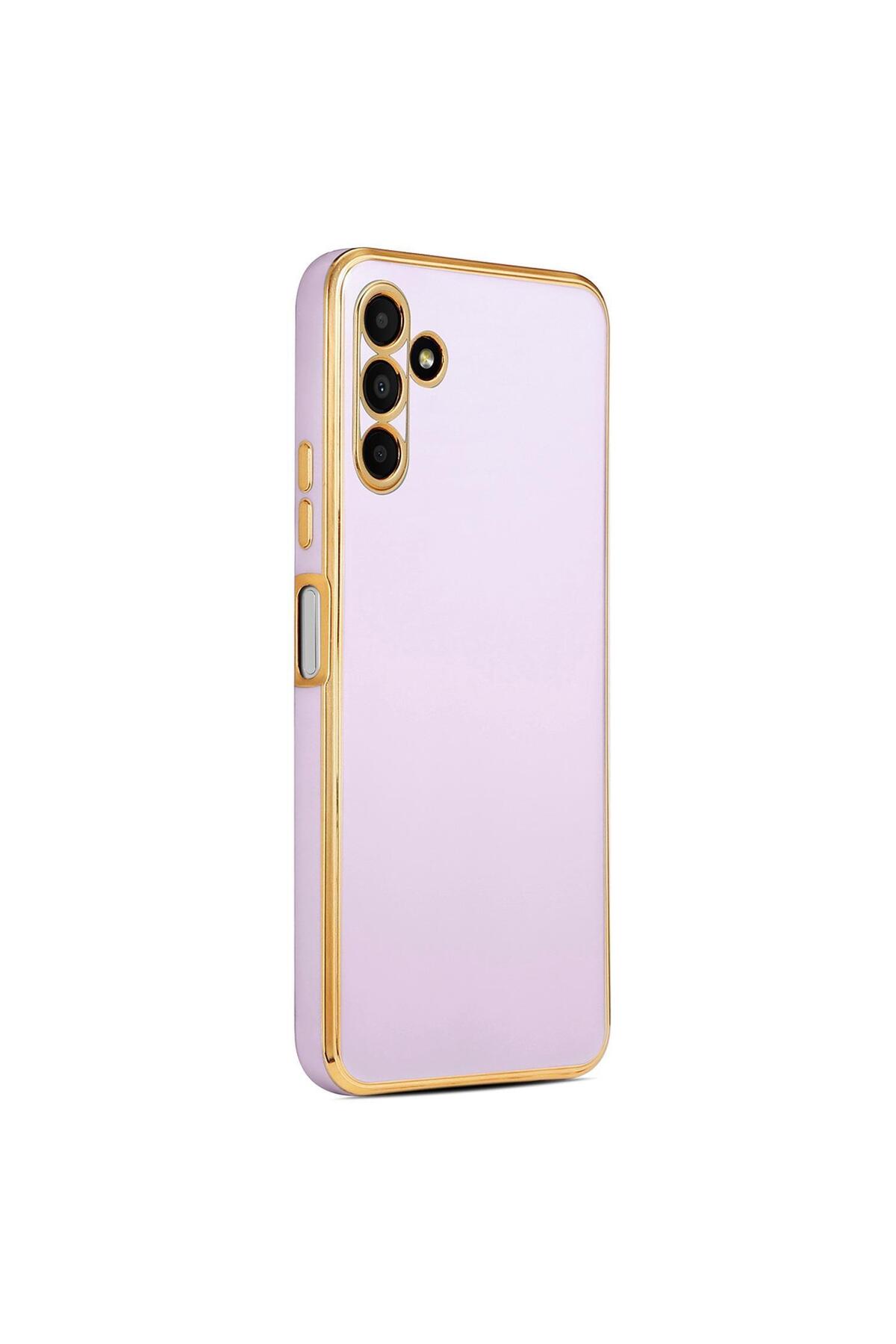Microsonic Samsung Galaxy S23 FE Kılıf Olive Plated Lila - Fiyatı ...