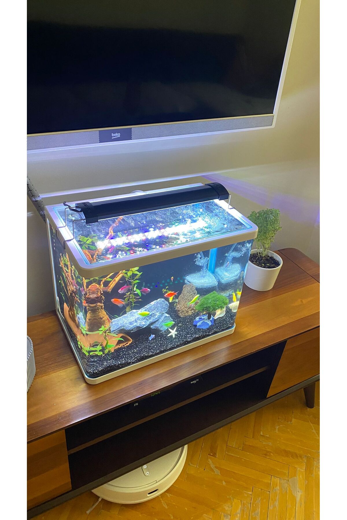 Shark 33 Cm (40-45 CM UYUMLU) Fullspectrum 4 Renk Armatür 2 Sıra Osram ...