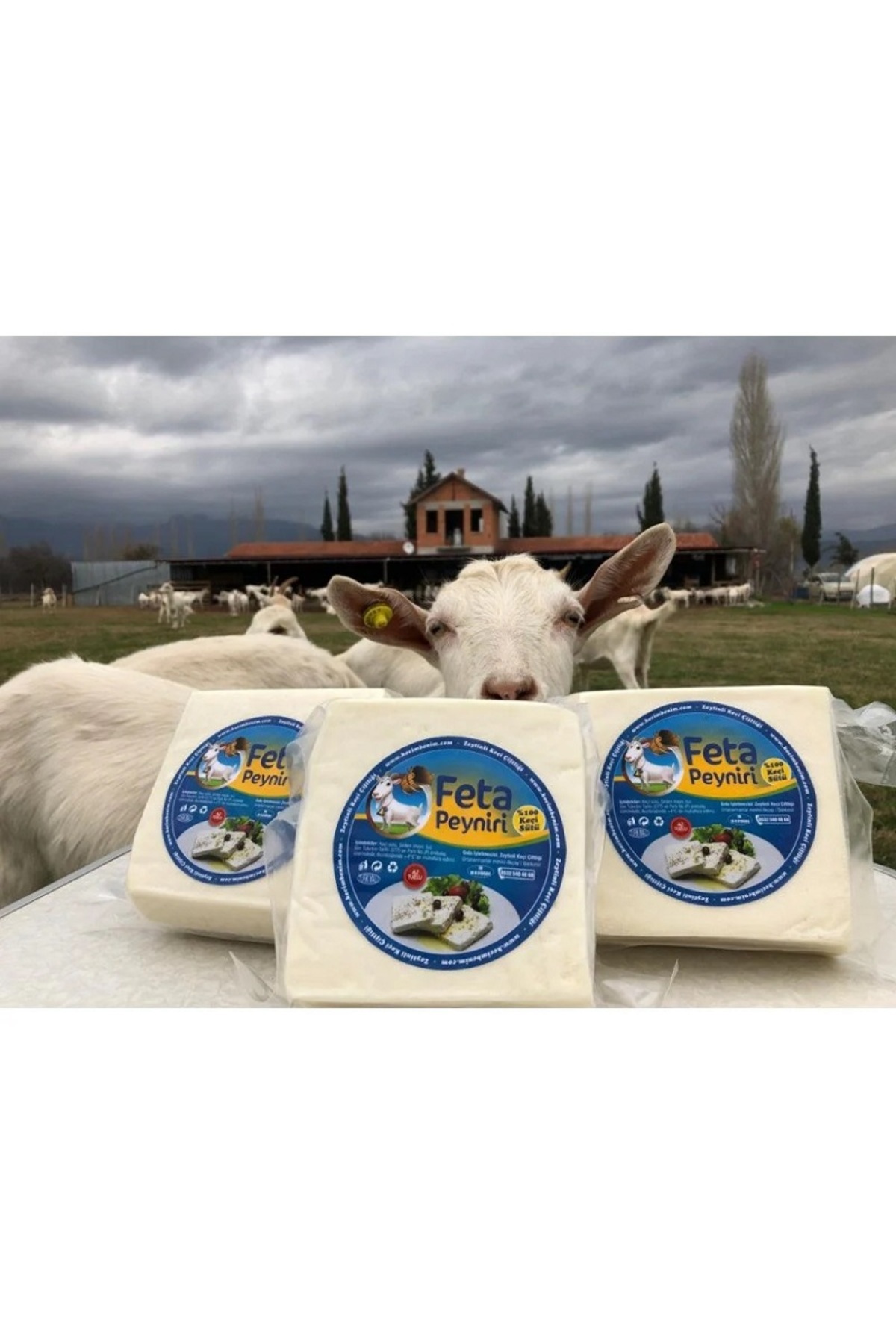 Zeytinli Keçi Çiftliği Feta Keçi Peyniri 450 Gr. (YAĞI ALINMAMIŞ %100 ...