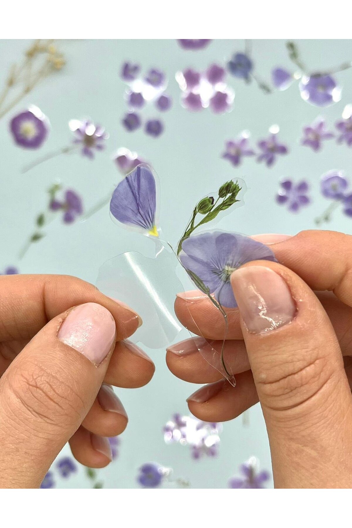 Kağıt Gemi Dükkan Retro Mor Renkli Çiçek Şeffaf Sticker - Scrapbook ...