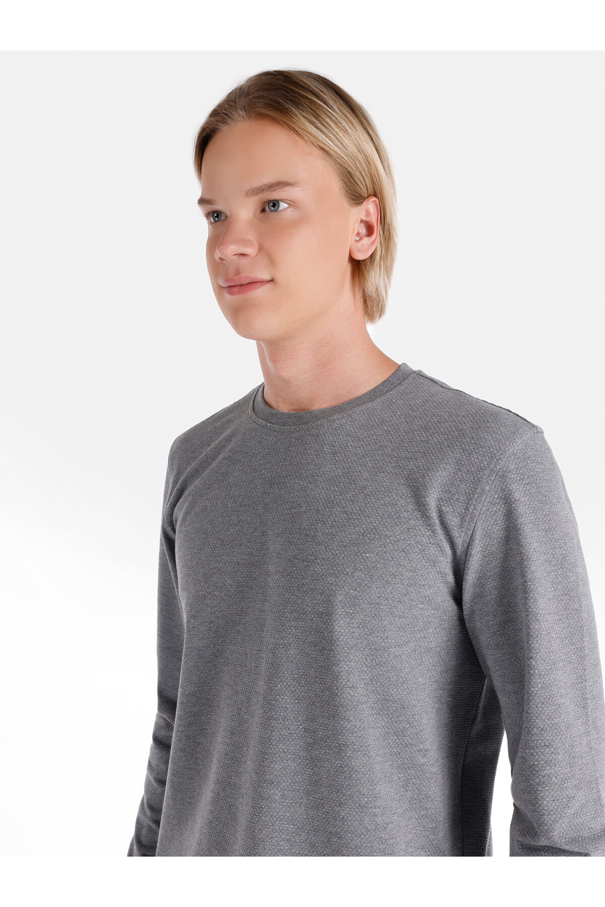 Colin’s Regular Fit Bisiklet Yaka Basic Gri Erkek Uzun Kol Tişört ...