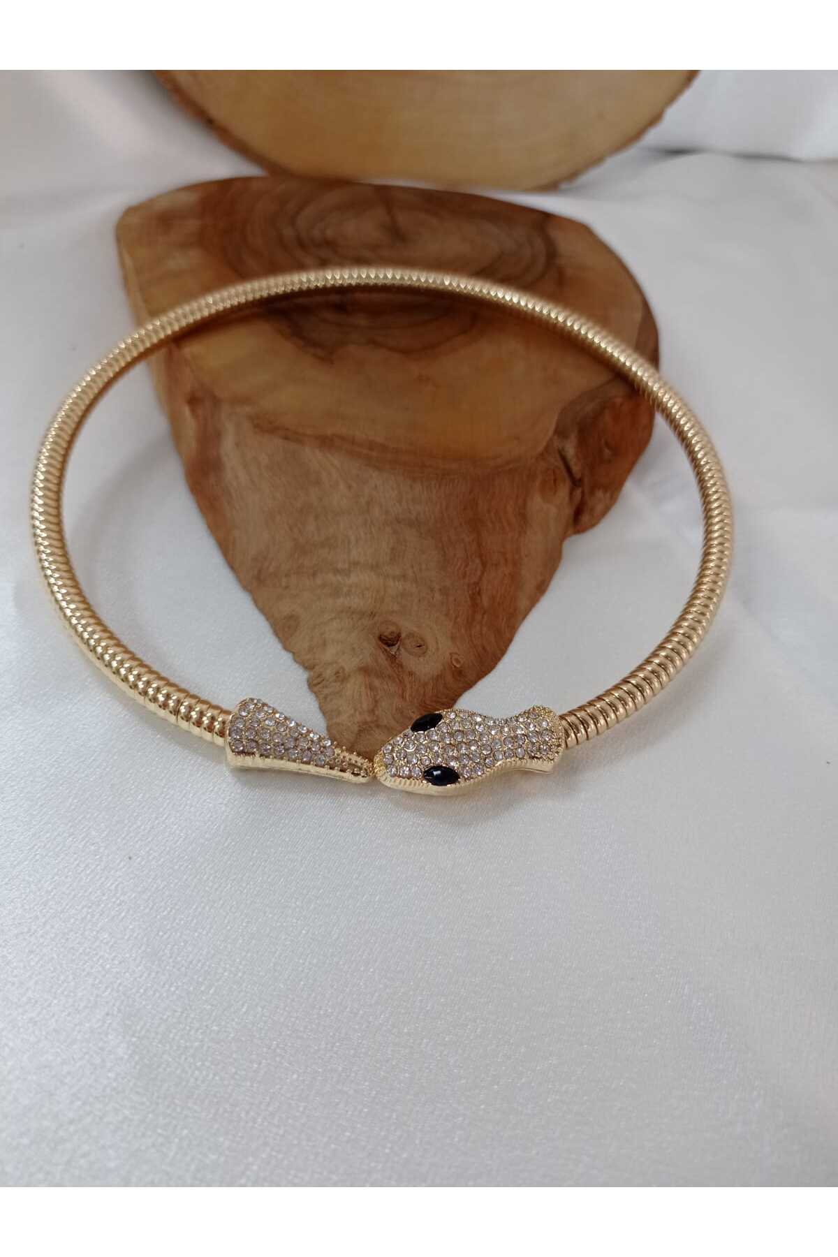 Allen Accessories Altın Kaplam Choker Yılan Model Kolye - Fiyatı, Yorumları