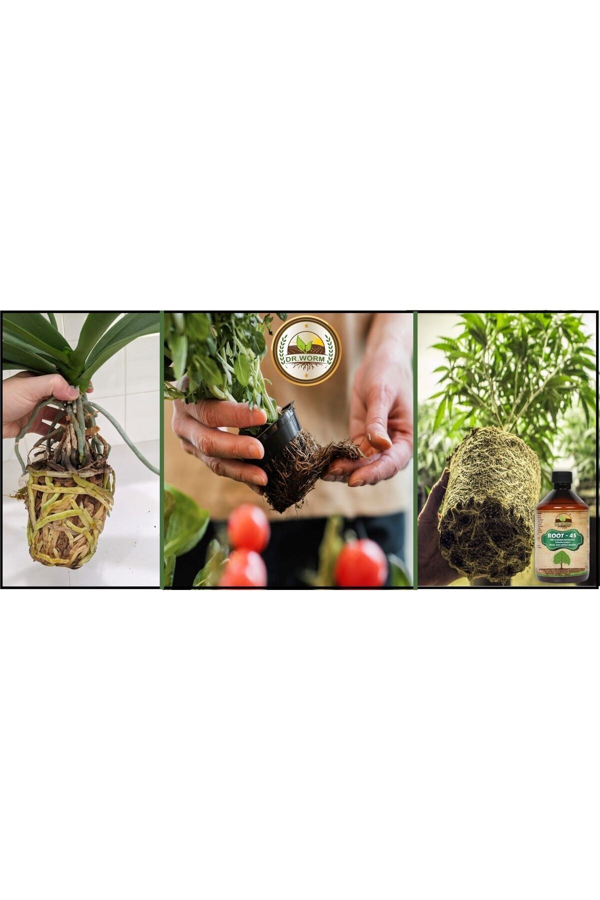 Dr.Worm Root- 45 Köklendirici & Gelişim Destekleyici Organik Içerikli ...