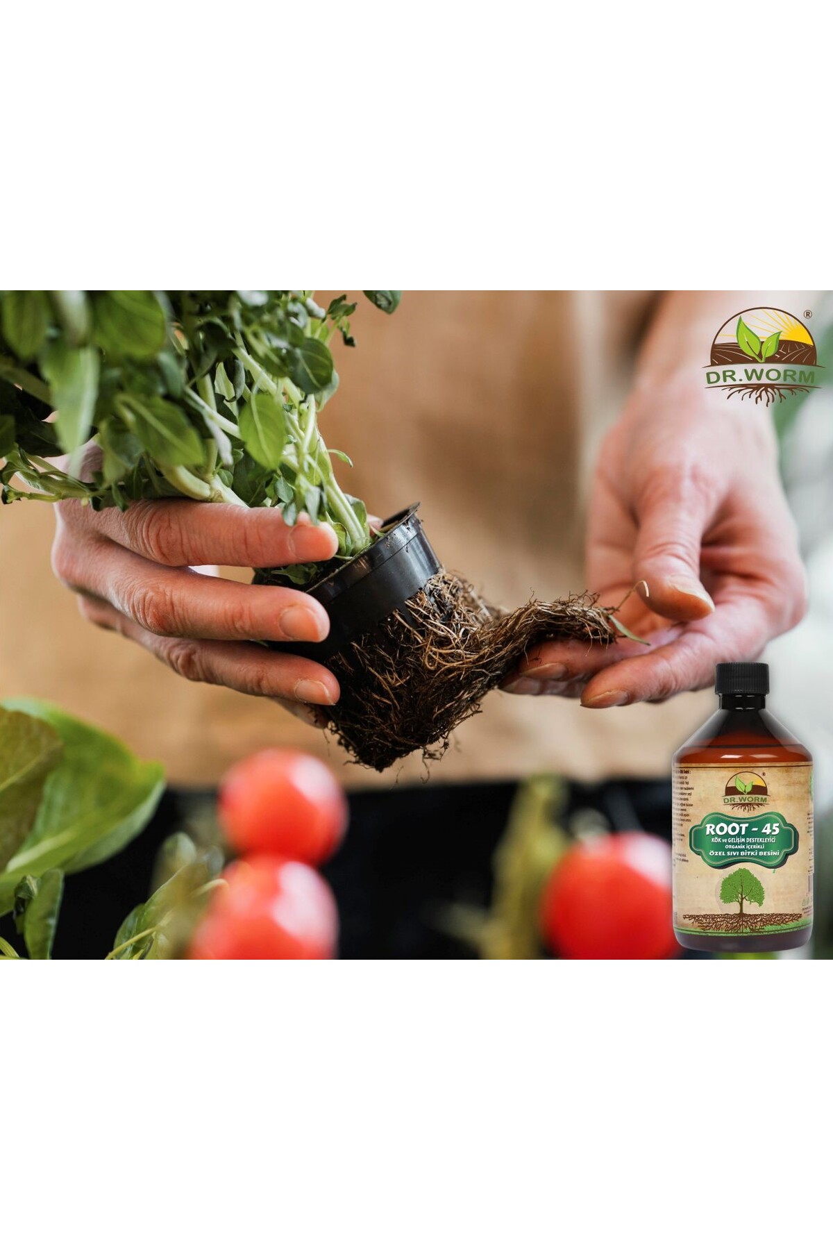 Dr.Worm Root- 45 Köklendirici & Gelişim Destekleyici Organik Içerikli ...