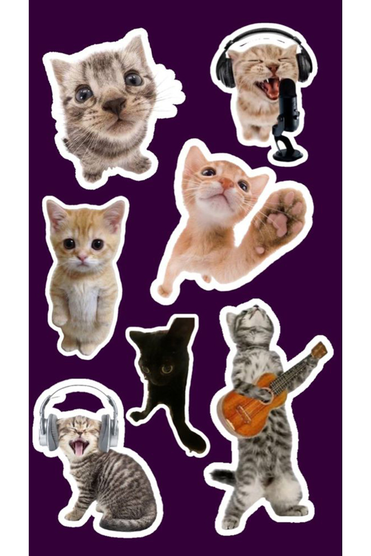 BK Design Kedi Sticker Telefon Laptop Notebook Tablet Defter Matara ...