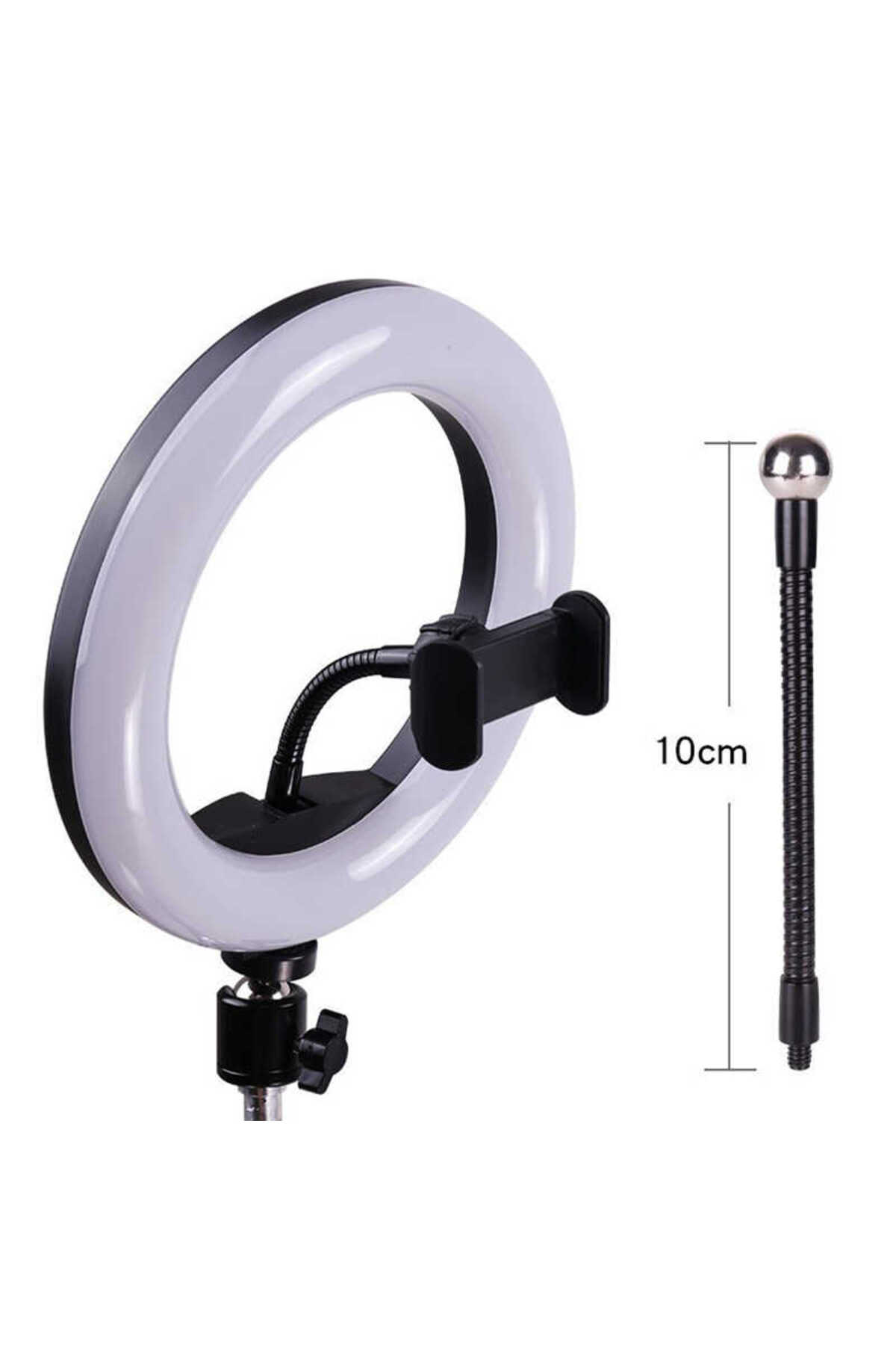 AksesuarLab 20cm Ölçülü Ring Light 10cm Metal Ayaklık uyumlu 360 Dönen ...