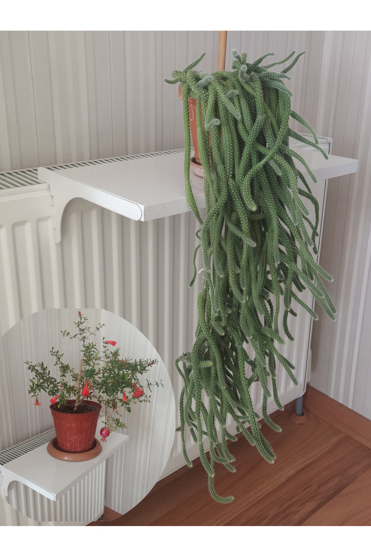 Akat Cosy Panel Kalorifer Rafı (20 x 40 cm) - Fiyatı, Yorumları