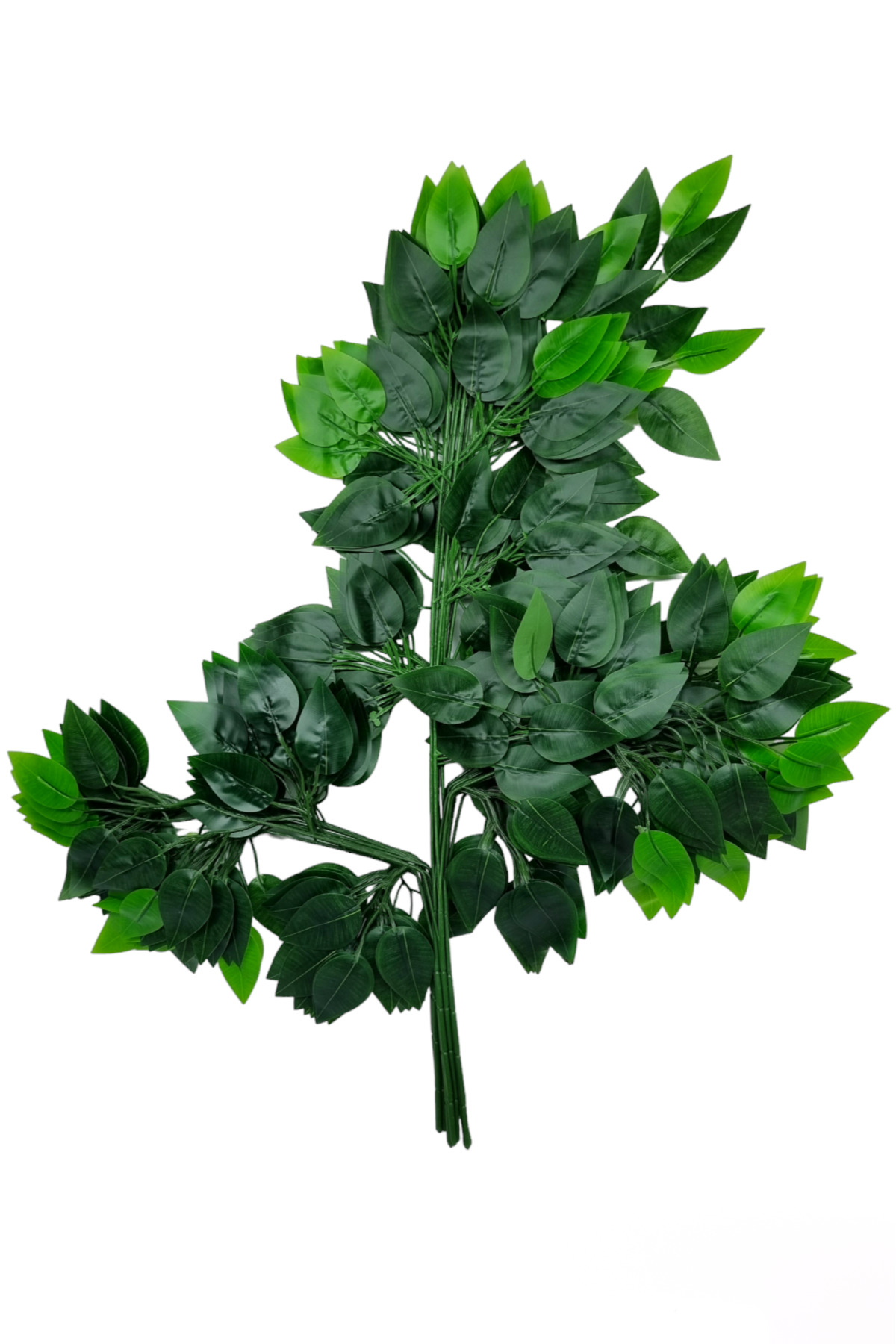 MD Aspiz Flowers 6 Yapay Yeşil Benjamin Yaprağı Ağaç Yaprağı _ Sarmasik ...