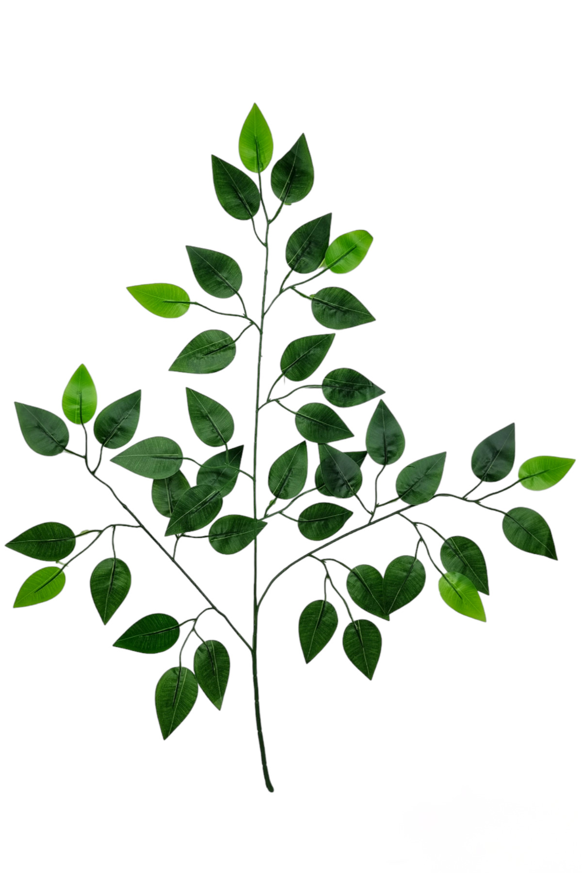 MD Aspiz Flowers 6 Yapay Yeşil Benjamin Yaprağı Ağaç Yaprağı _ Sarmasik ...