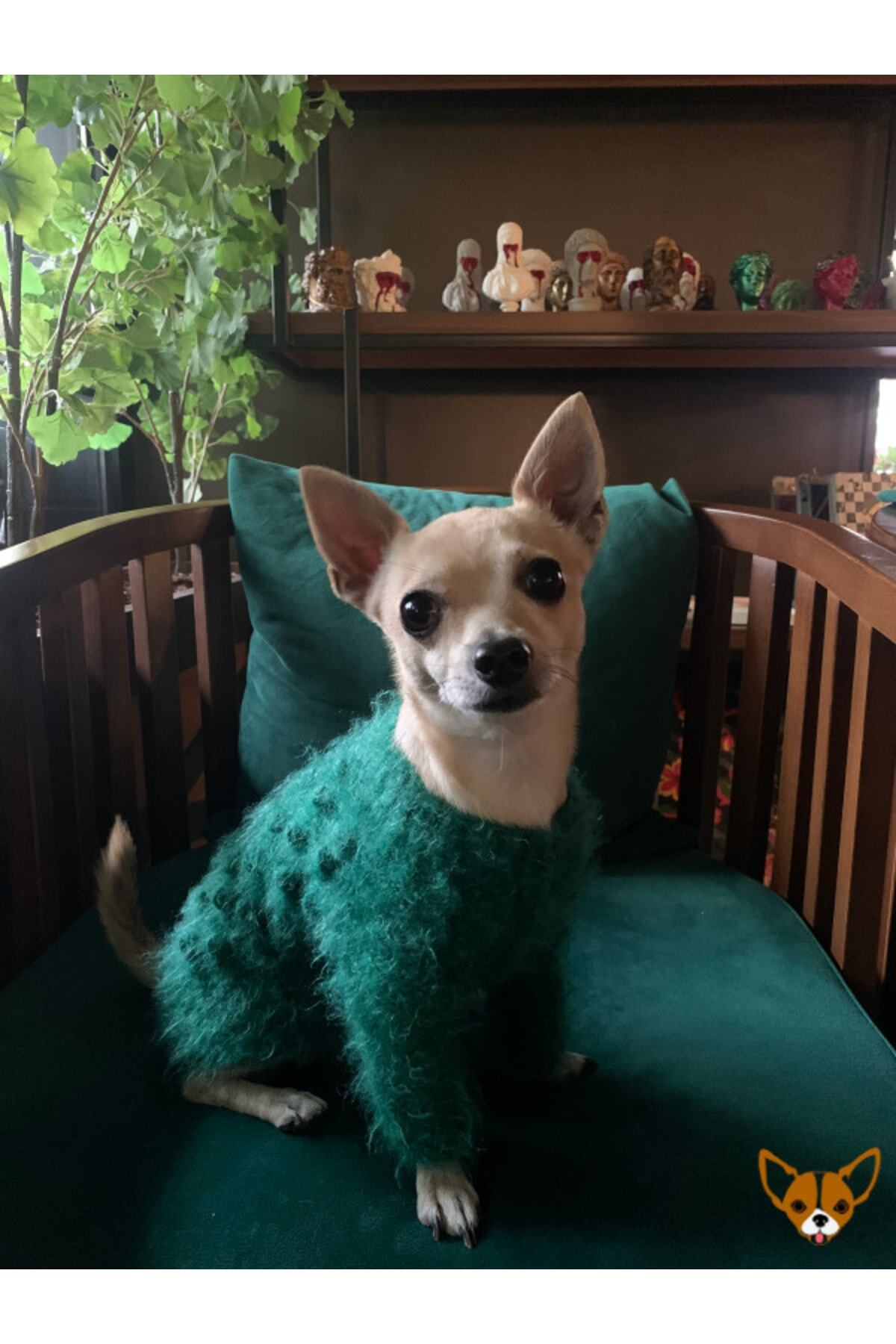 Mabel Pet Clothes Örme Kedi - Köpek Kazağı 1-4 Kg Fiyatı, Yorumları ...