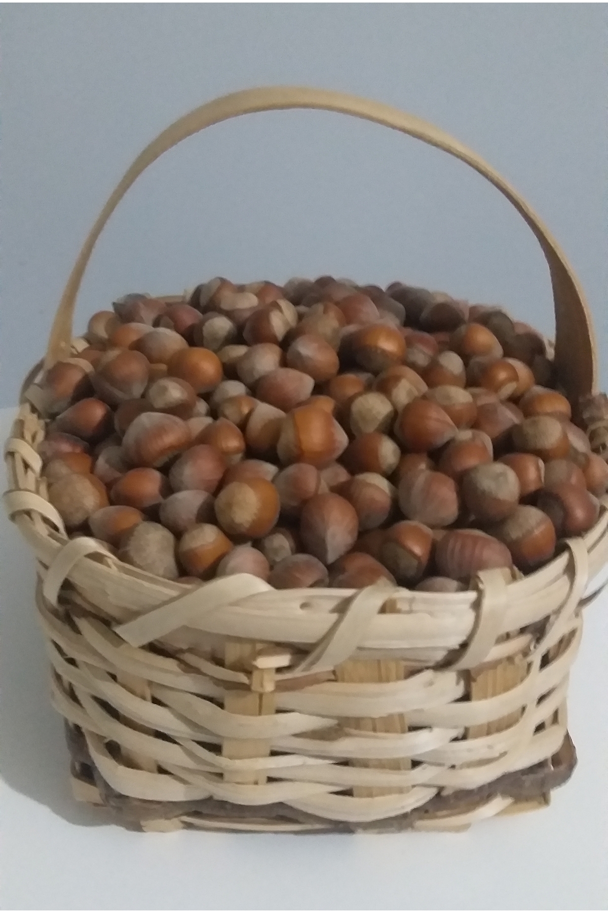 güvenpro FINDIK KABUKLU FINDIK 500GR Fiyatı, Yorumları - Trendyol