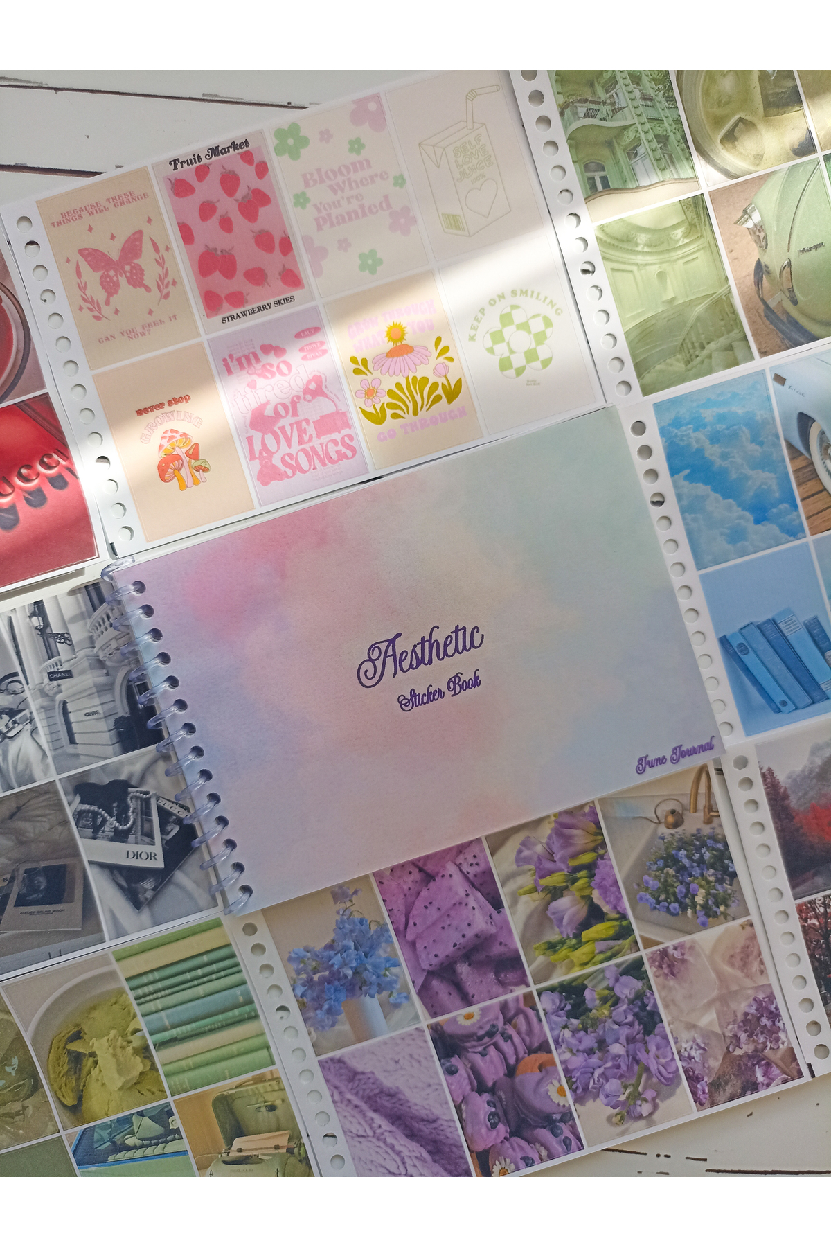 June Journal Aesthetic Sticker Kitabı ( Bullet Journal ve Ajandalar ...