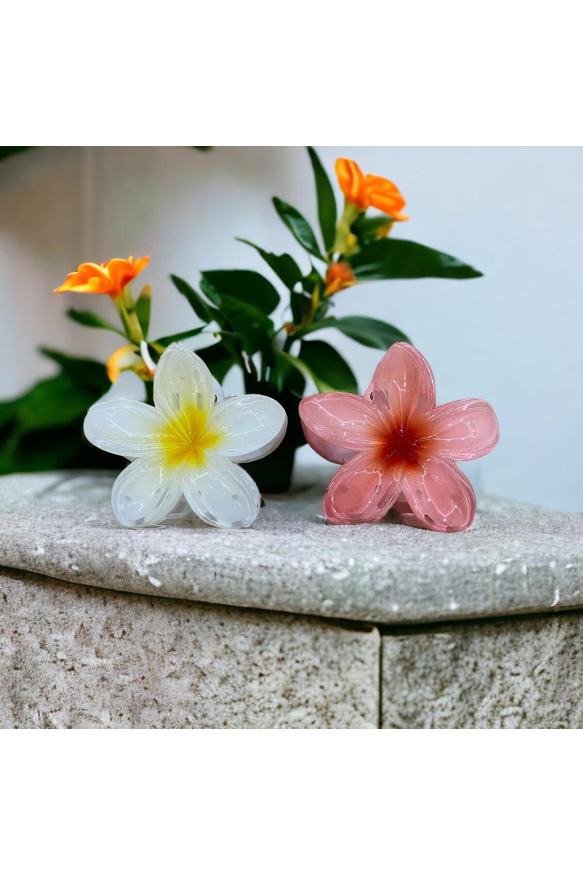 mrs CROWN 2'Lİ LOTUS MANDALLI TOKA 8CM Fiyatı, Yorumları - Trendyol