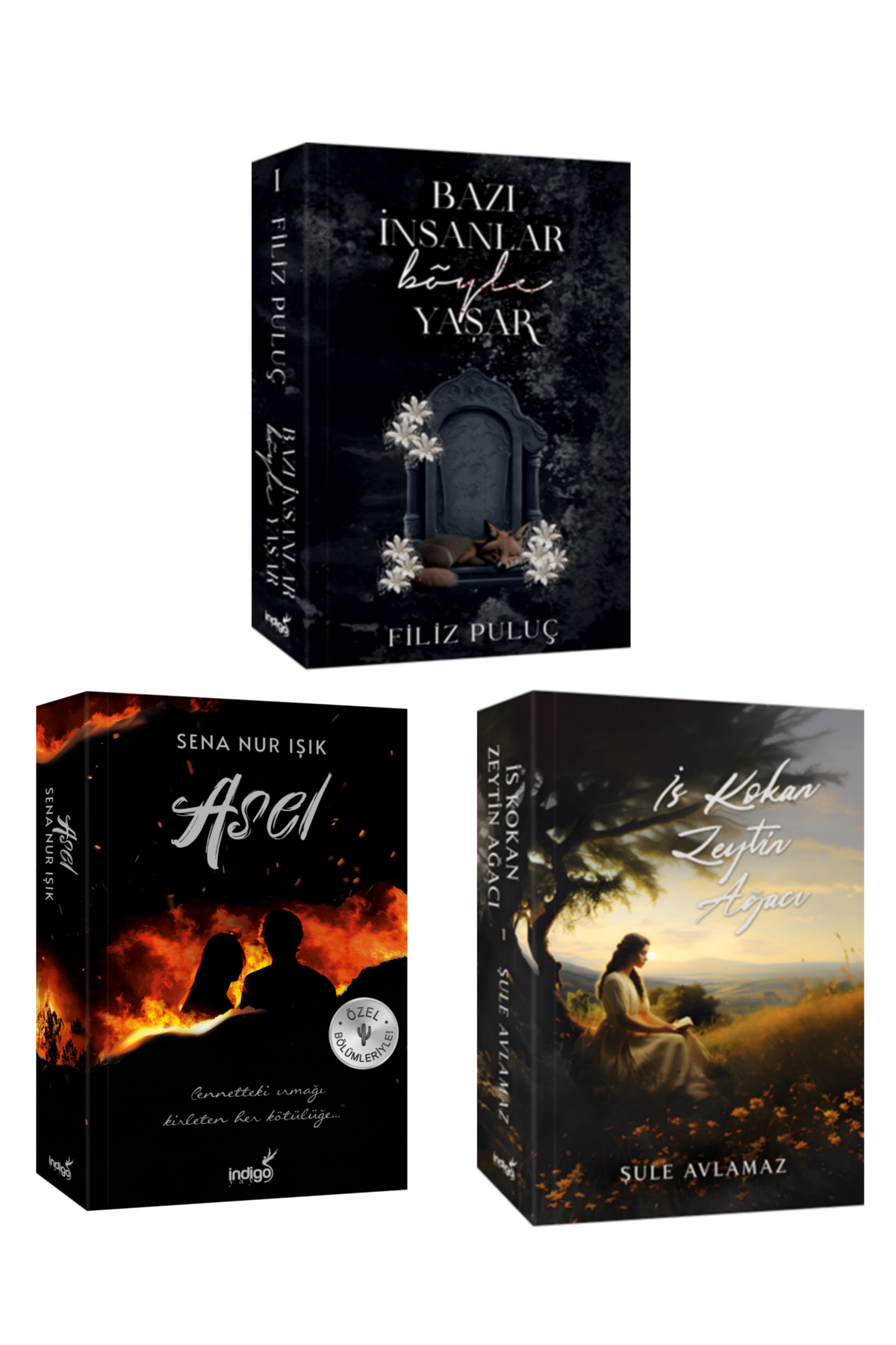 İndigo Kitap Asel, Bazı İnsanlar Böyle Yaşar ve İş Kokan Zeytin Ağacı 3 Kitap Set Karton Kapak ...